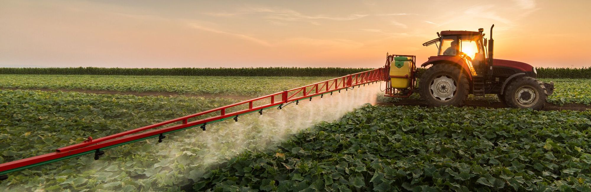 How silicone products improve crop sciences? | 埃肯官网